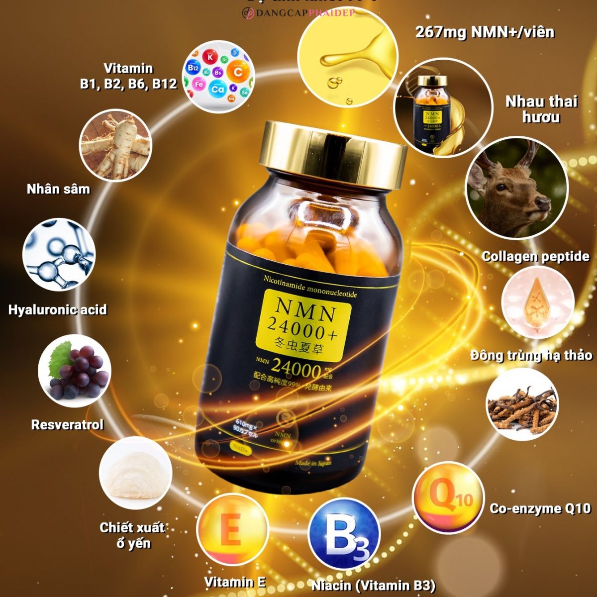 Viên uống NMN 24000+ Tochukasou đảo ngược quá trình lão hóa